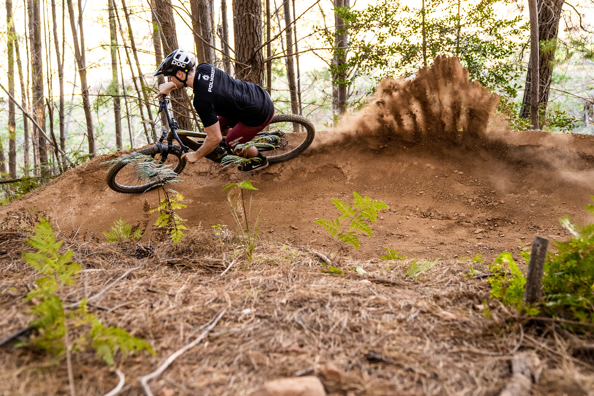 Polygon Bikes | Reid Cycles Australia